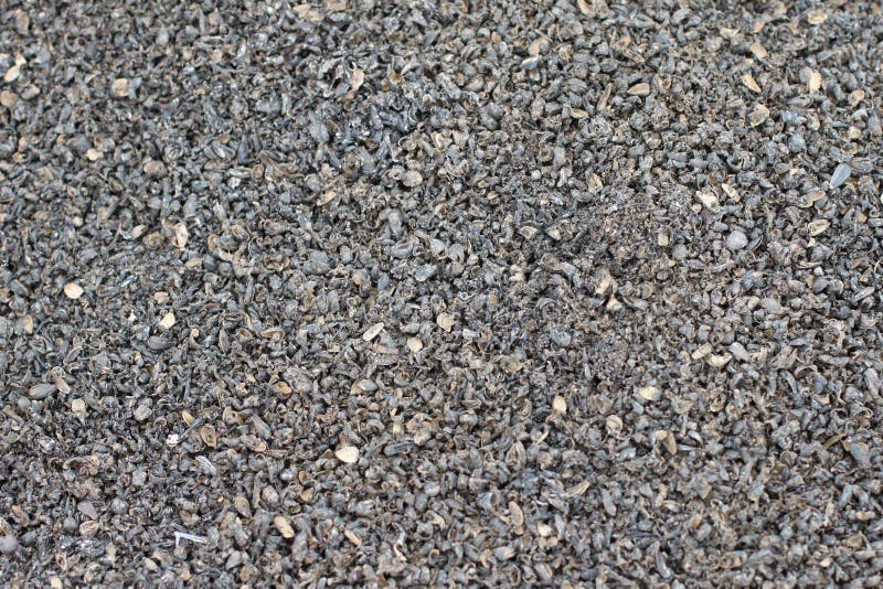 Texture of Crushed Stone Gravel Stock Image - Image of texture ...