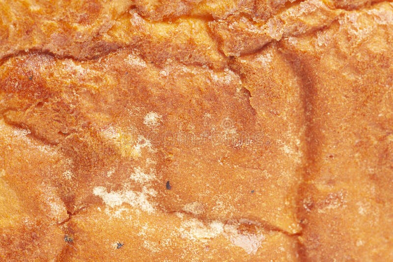 The Texture of Bread. Tasty Fresh Bread, Close Up Stock Photo - Image ...
