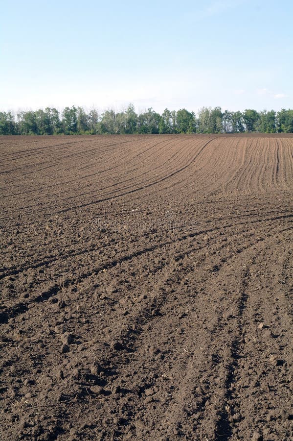 Texture of the Cultivated Field. Stock Photo - Image of fresh, herb ...