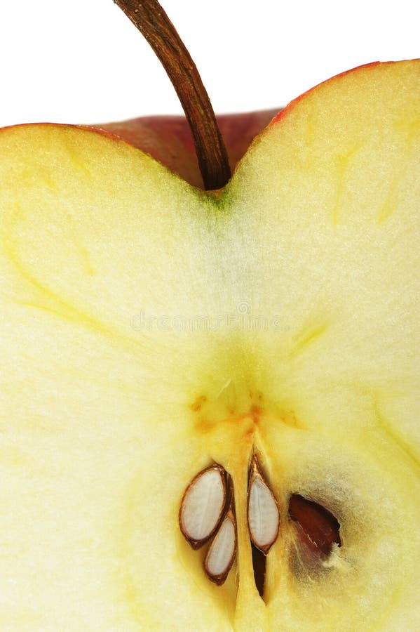 Apple Stem Texture