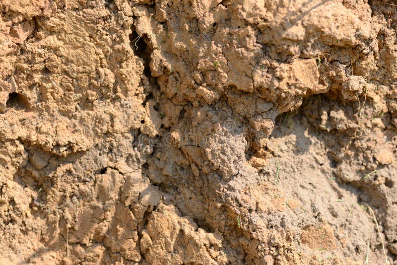 Texture of the Cut of the Earth with a High Content of Clay Stock Photo ...