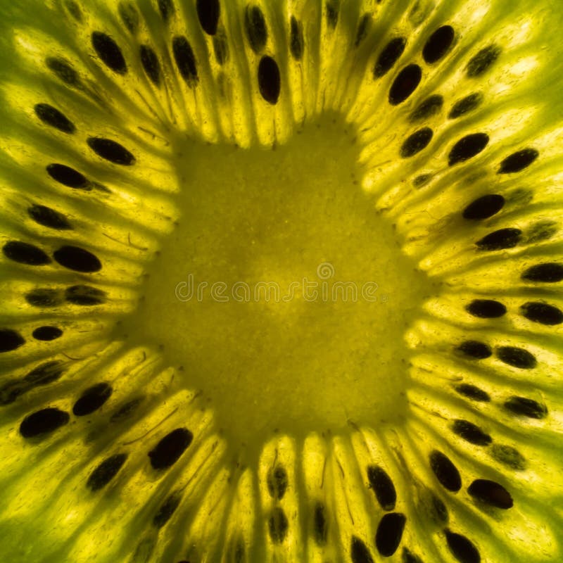 Texture of Cut Kiwi through Which Light Passes, Close-up Stock Photo ...