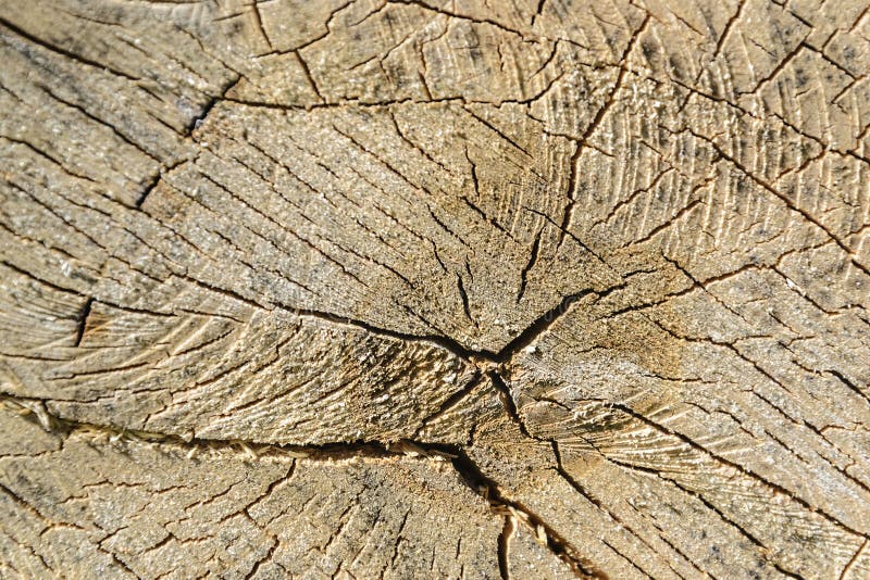 Wood cut texture stock image. Image of cross, carpenter - 260466077