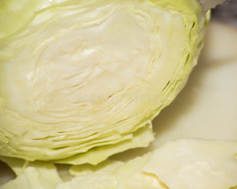 The Texture of the Cut White Cabbage Stock Photo - Image of color ...