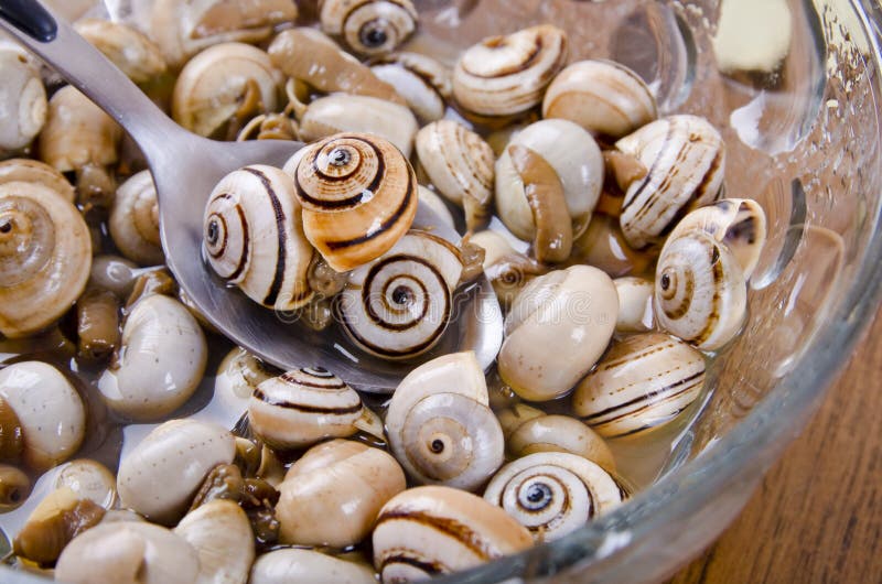 Texture d'escargots image stock. Image du espagne, escargots - 30617241