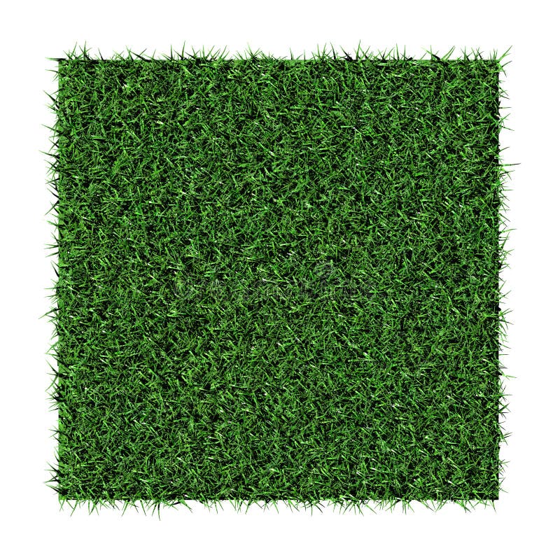 Texture d'herbe image stock. Image du texturisé, herbe - 14139681