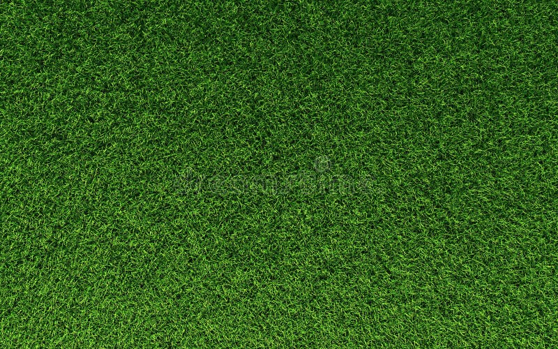 Texture d'herbe image stock. Image du texturisé, herbe - 14139681