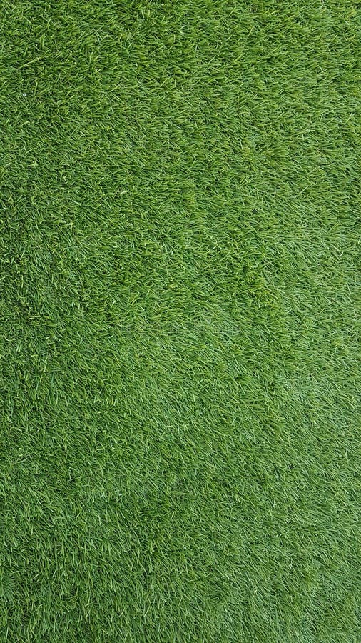 Texture d'herbe verte photo stock. Image of zone, fond - 95504012