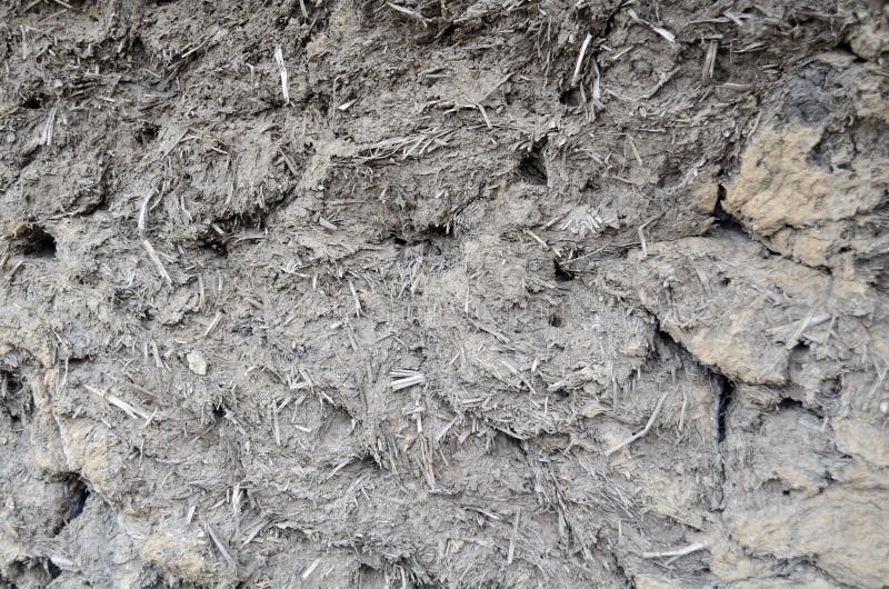 The Texture of Damaged Clay Wall Stock Image - Image of break, adobe ...