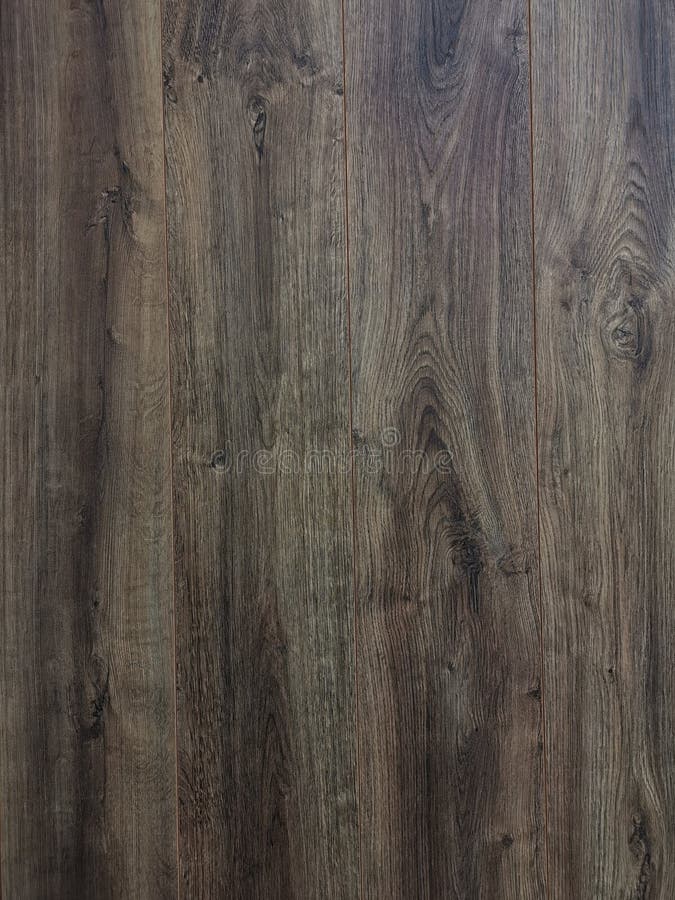Texture of Dark Oak Under the Tree Stock Image - Image of floor, wooden ...