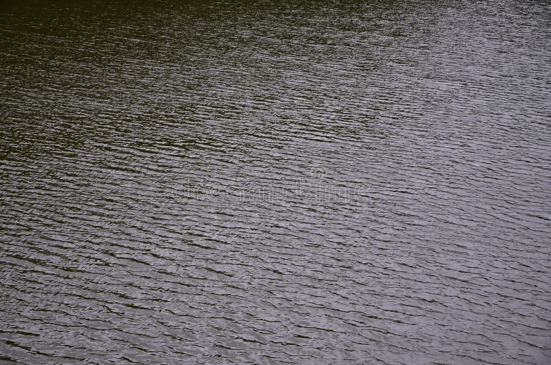 The Texture of Dark River Water Under the Influence of Wind, Imprinted ...