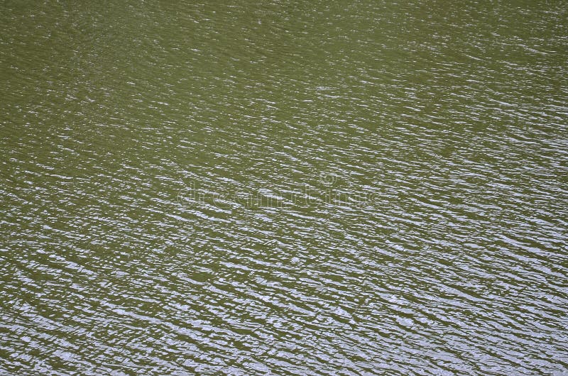 The Texture of Dark River Water Under the Influence of Wind, Imprinted ...