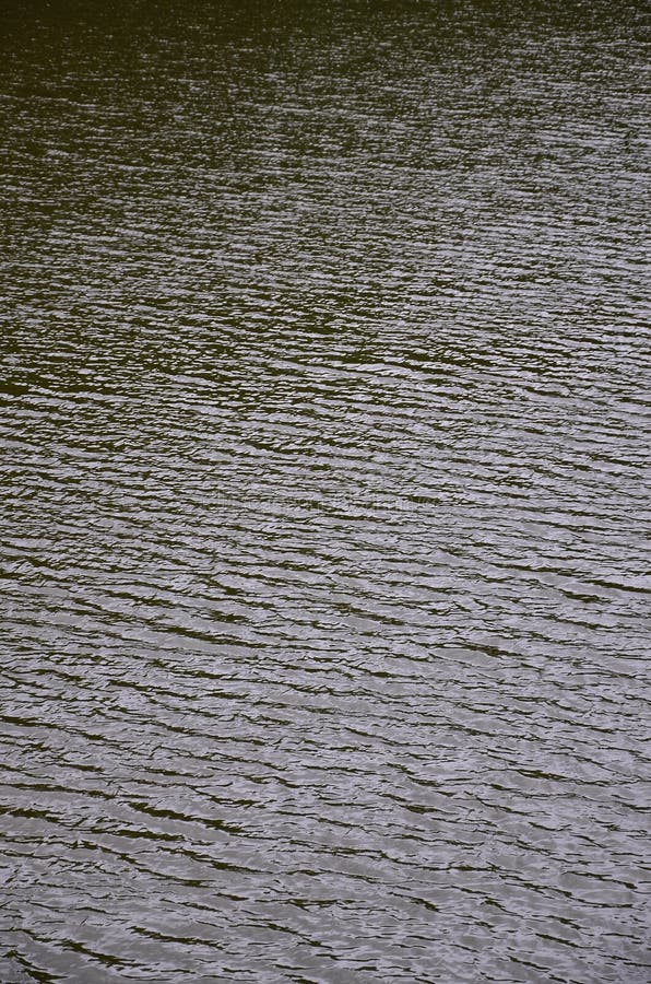 The Texture of Dark River Water Under the Influence of Wind, Imprinted ...