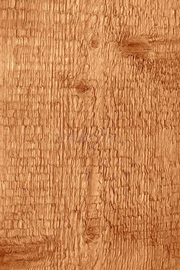 Texture De Bois Image. Image: 2660604