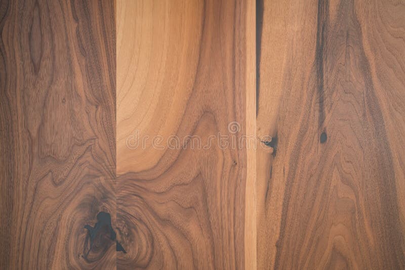 Texture De Bois De Noix Noire Avec De L'aubier Image stock - Image du ...