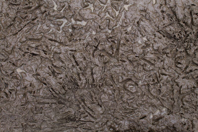 Texture de boue photo stock. Image du inondation, humide - 38681126