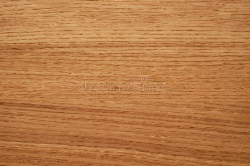 Texture de chêne image stock. Image du surface, texture - 3350145