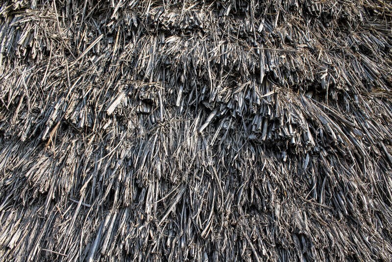 Texture De Toit De Chaume Photos Stock - Téléchargez 1,721 Photos ...