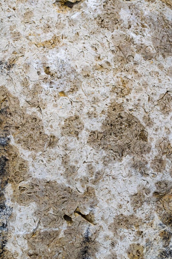 Texture De Chaux Utilisable Comme Texture Ou Fond Photo stock - Image ...