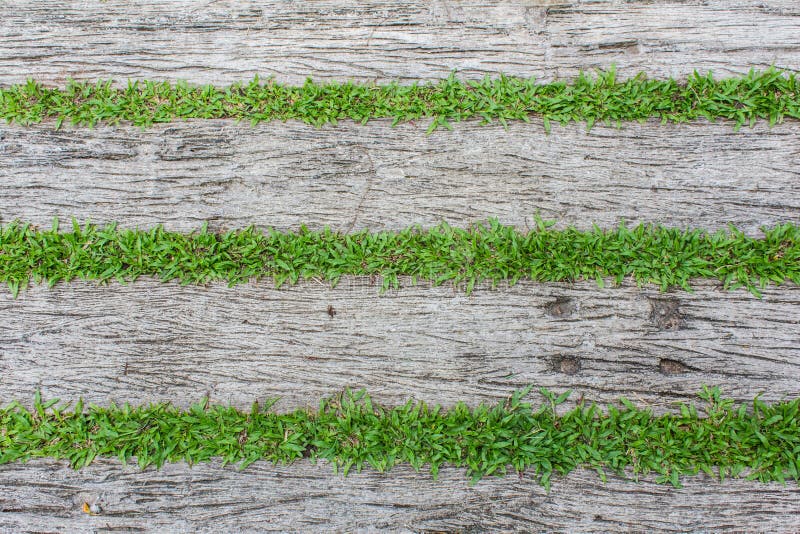 Texture De Chemin De Promenade De Bloc Photo stock - Image du nature ...
