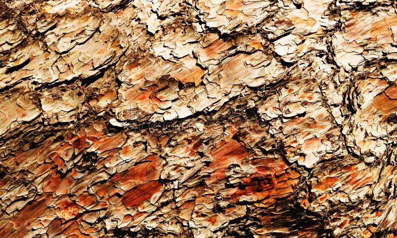 Texture de contraste image stock. Image du croûte, surface - 33756323