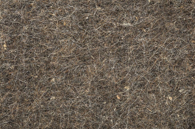 Texture de feutre photo stock. Image of unique, gris - 23118198