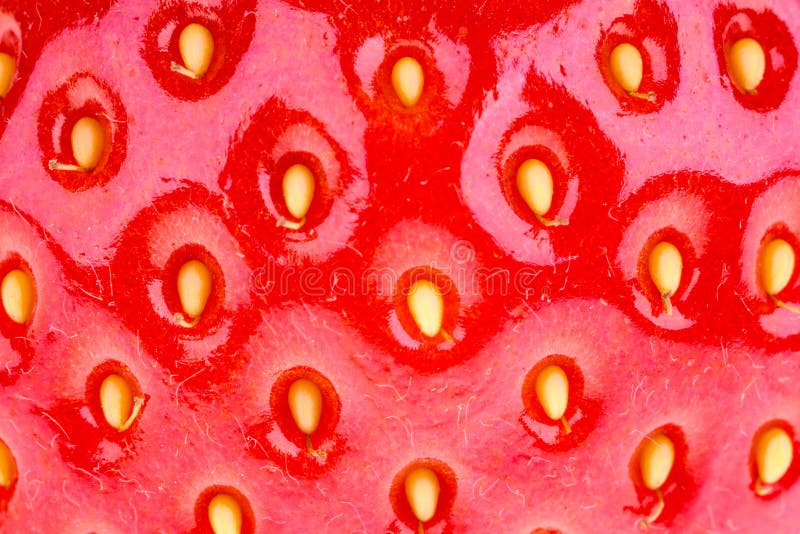 44,486 Photos de Texture De Fraise - Photos de stock gratuites et ...