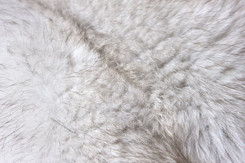 Texture de fourrure image stock. Image of couche, chaud - 18150393