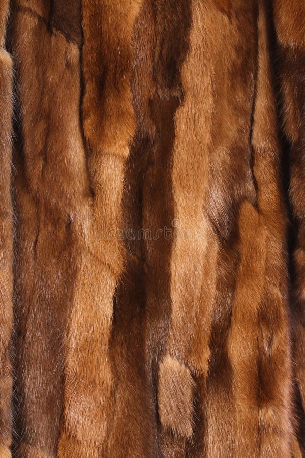 Texture de fourrure Fond image stock. Image du vêtement - 43437239