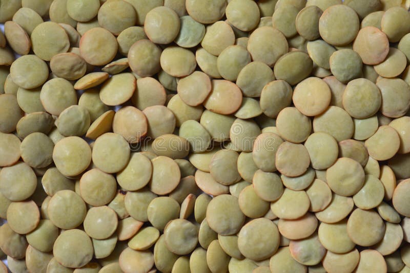 Texture De Grain, Lentille Rouge Image stock - Image du céréales ...