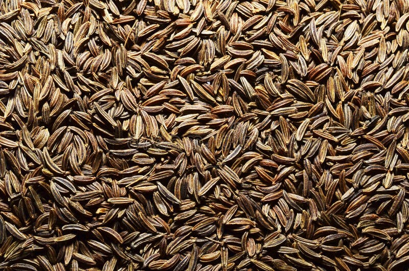 Texture De Graines De Cumin Image stock - Image du système, sauce: 72060853