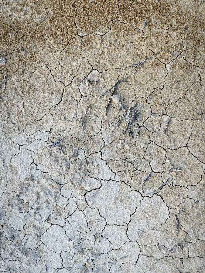 Texture De La Surface Du Sol Sablonneux Petite Fissure. Photo stock ...