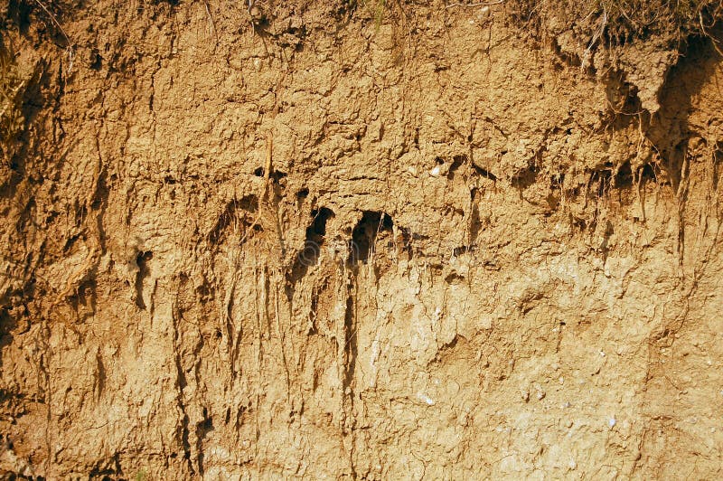 Texture de la terre image stock. Image du pailles, boue - 7123201