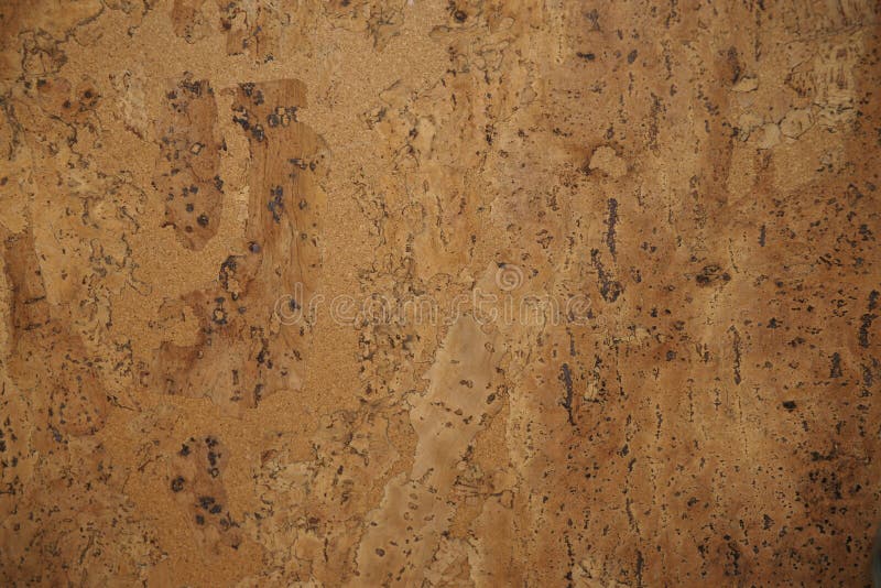 Texture de liège. image stock. Image du objet, textures - 37180547