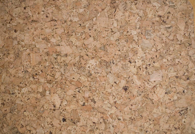 Texture de liège image stock. Image du vide, disposition - 5826313