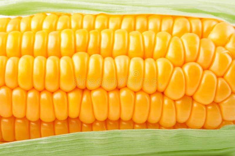 Texture De Maïs De Légume Frais Photo stock - Image du légume ...