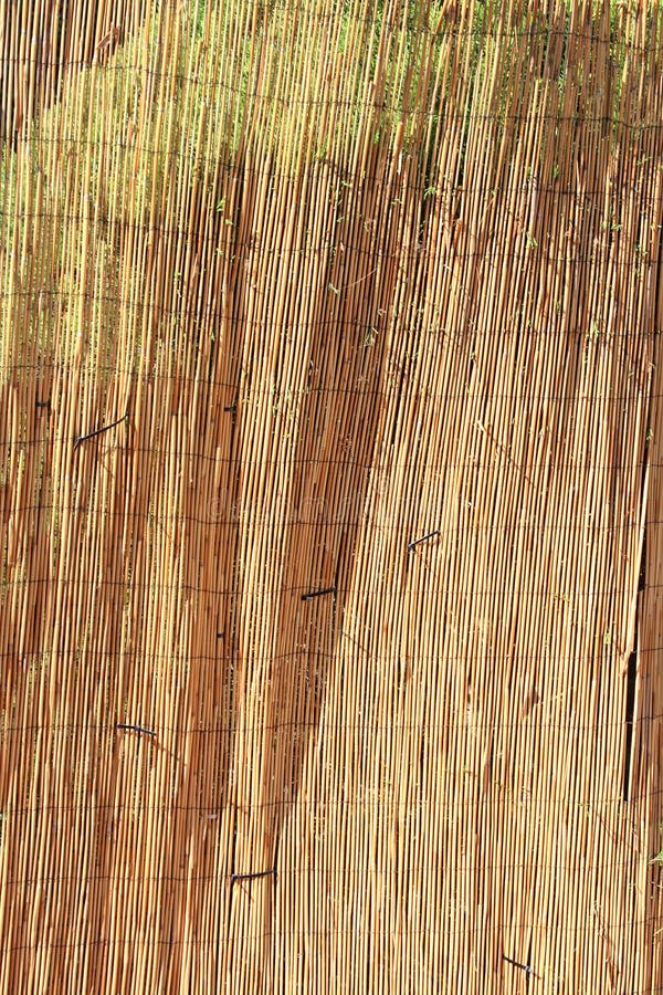 Texture de paille image stock. Image du rugueux, fibre - 12797861