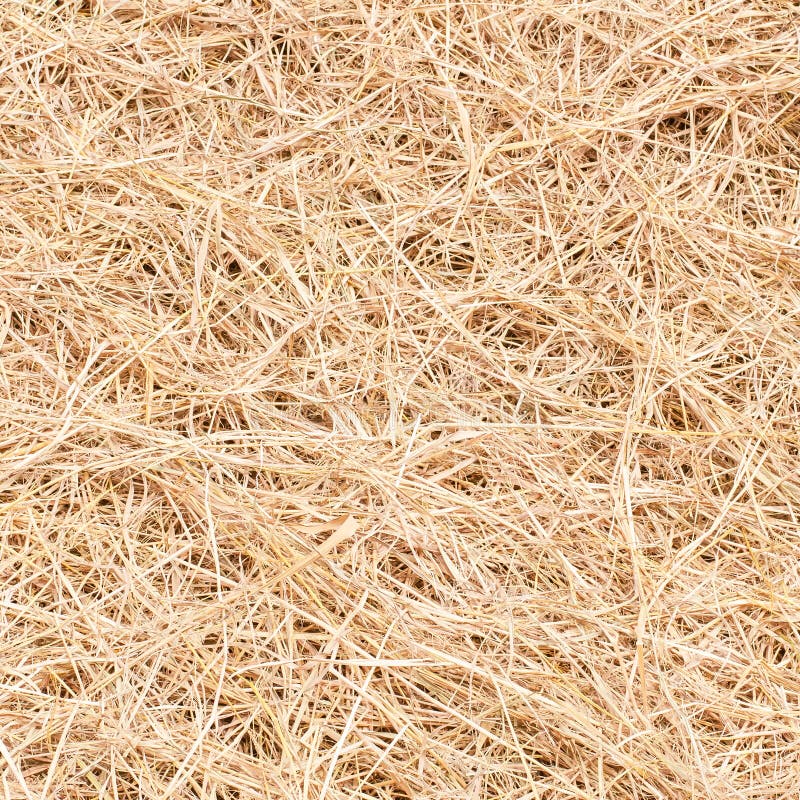 Texture de paille image stock. Image du fermer, texture - 35757547