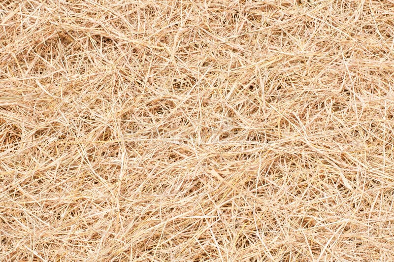 Texture de paille image stock. Image du fermer, texture - 35757547