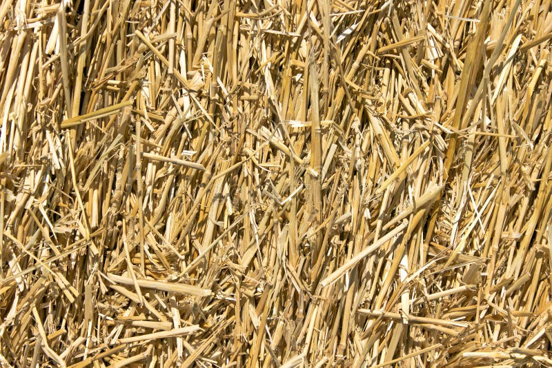 Fond de paille photo stock. Image du diagonale, ferme - 28830922