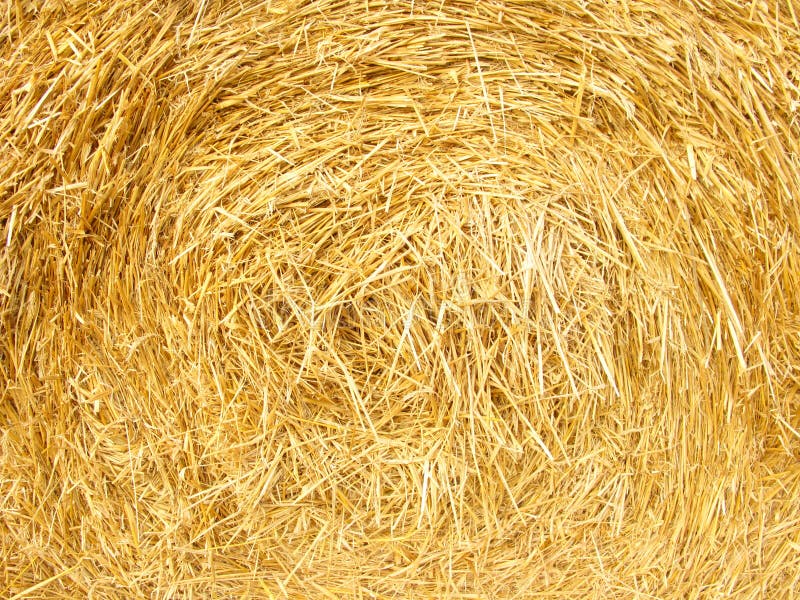 Texture - Couvre-tapis De Paille Photo stock - Image du armure, détail ...