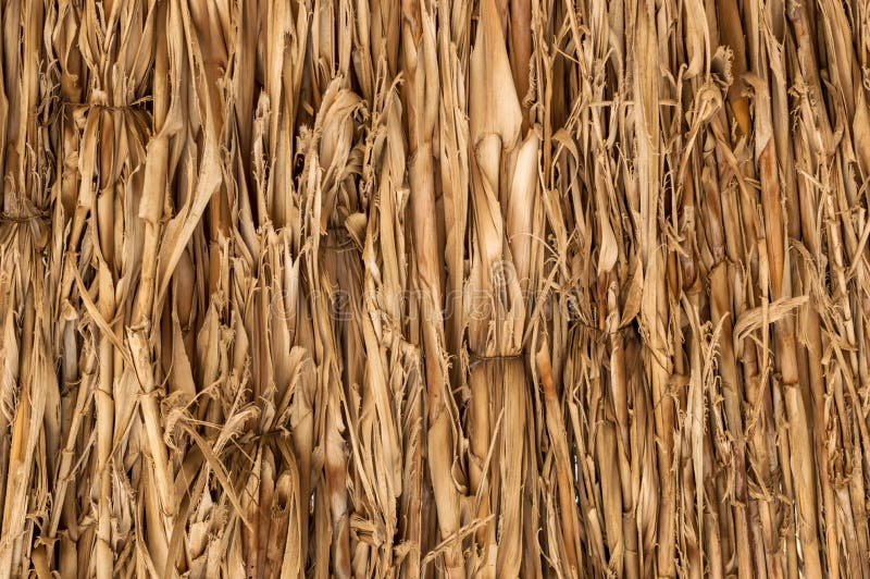 Texture De Paille Comme Fond Naturel Abstrait Image stock - Image du ...