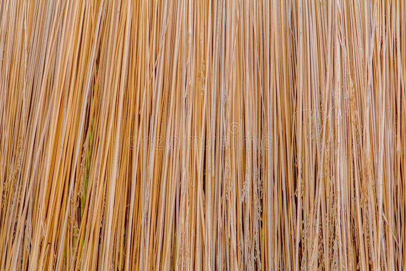 Texture de toit de paille photo stock. Image du home - 11741316