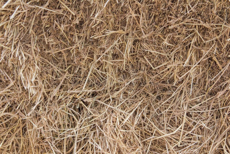 Texture De Paille Photos Stock - Téléchargez 85,308 Photos libres de droits