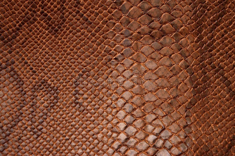 Texture de peau de serpent photo stock. Image du abstrait - 34196198