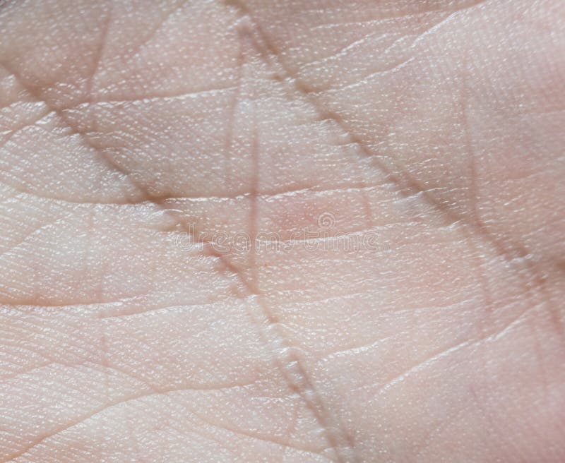 Images Texture De Peau Humaine - Téléchargez 611 Photos libres de droits