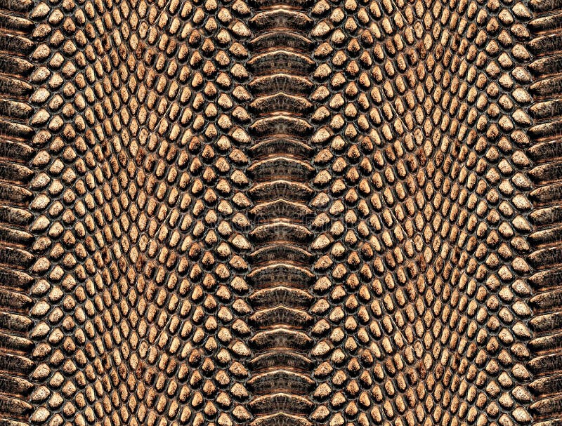 Texture De Peau De Serpent Serpent De Texture Copie à La Mode Serpent ...
