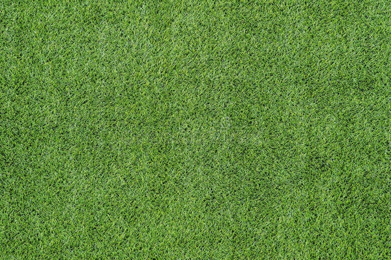 Texture d'herbe photo stock. Image du environnement, down - 28280706