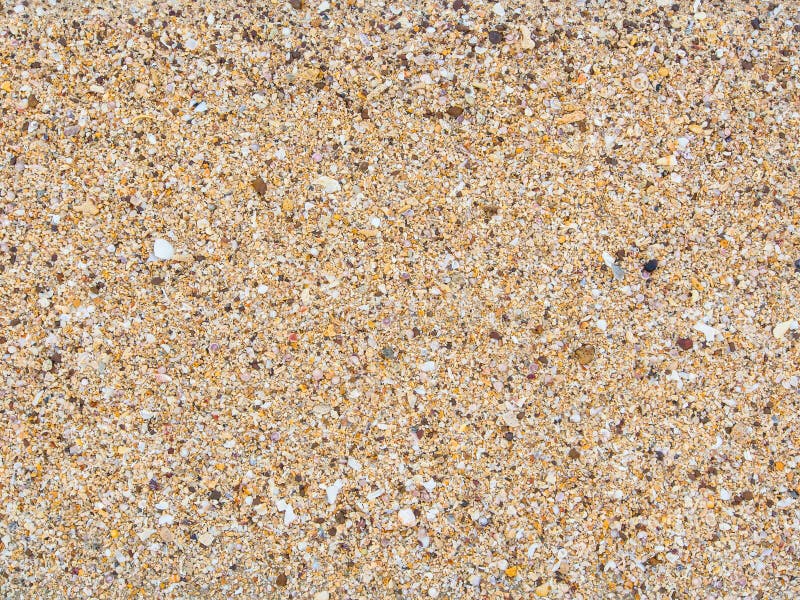Texture De Plage De Sable Avec Des Grains De Sable Photo stock - Image ...