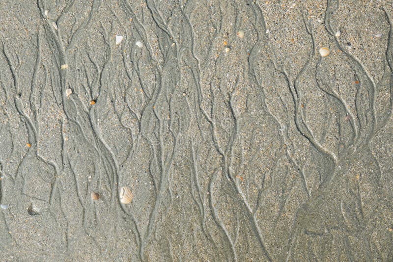 Texture De Plage De Sable Avec Des Grains De Sable Photo stock - Image ...